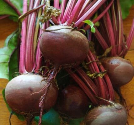 Beetroot Powder Australia | buy Beetroot Powder online